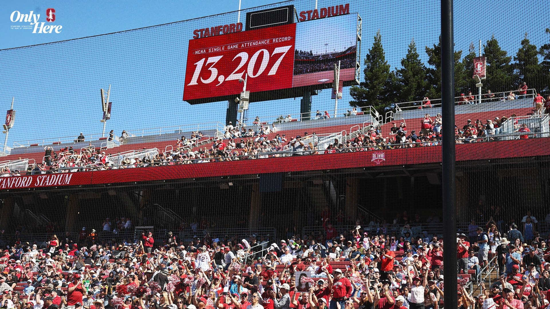 Breaking News: NCAA Softball Record Broken Again
